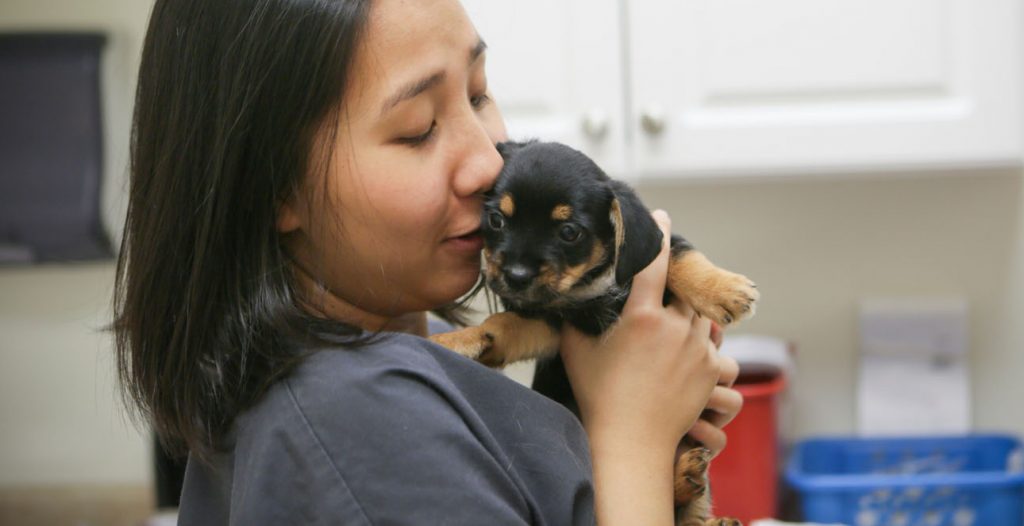 Home [phillypaws.org]