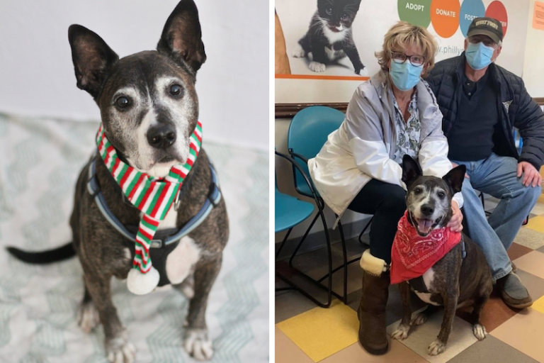 Buster: keeping it in the family