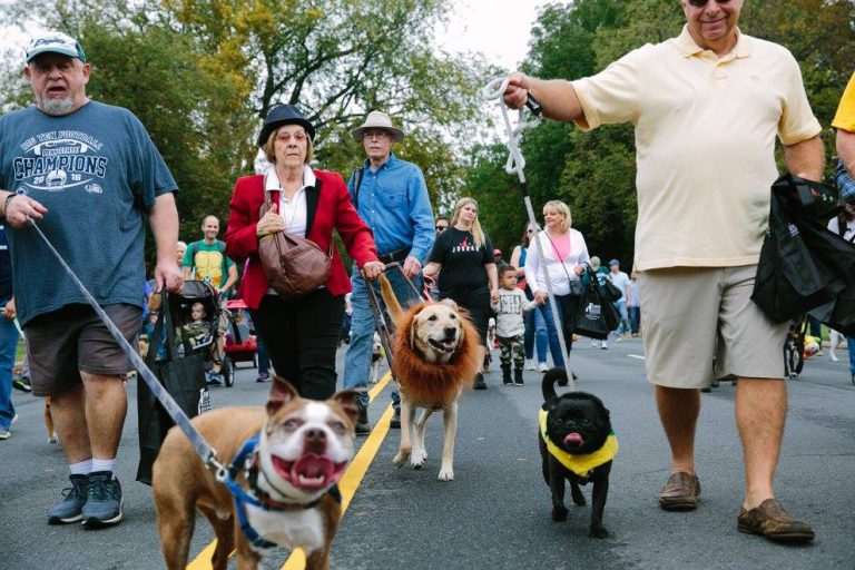 19th Annual PAWS Mutt Strut: Saturday, October 4, 2025